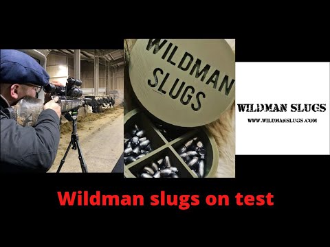 WILDMAN SLUG TEST SUB 12FTLB - YouTube