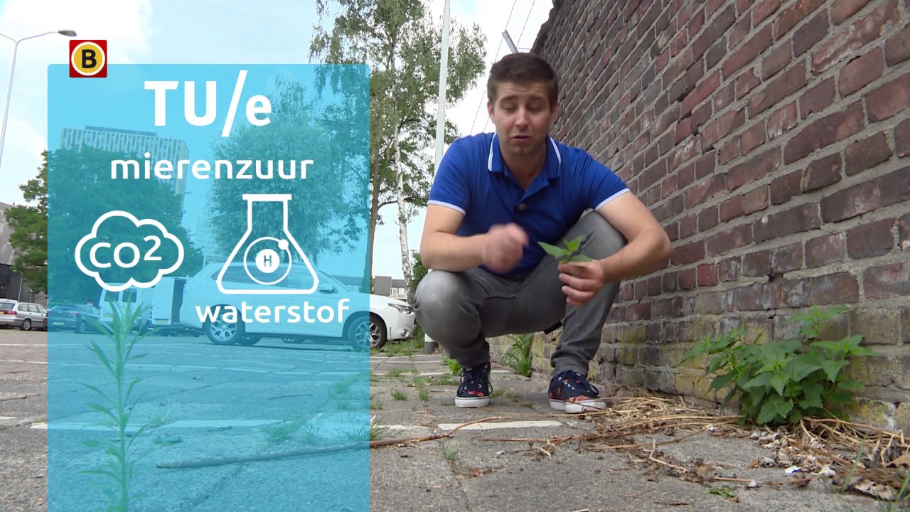 Wat is mierenzuur en hoe werkt de bus? - YouTube