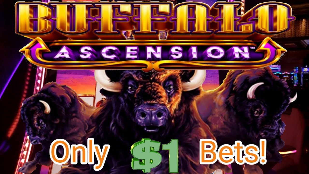 Sleepy Avalon wins on Buffalo Ascension with only $1 Bets! - YouTube