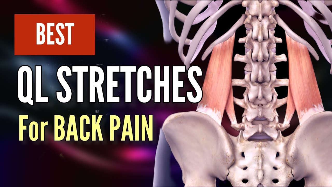 Top 10 Quadratus Lumborum QL Stretches for back pain relief - YouTube