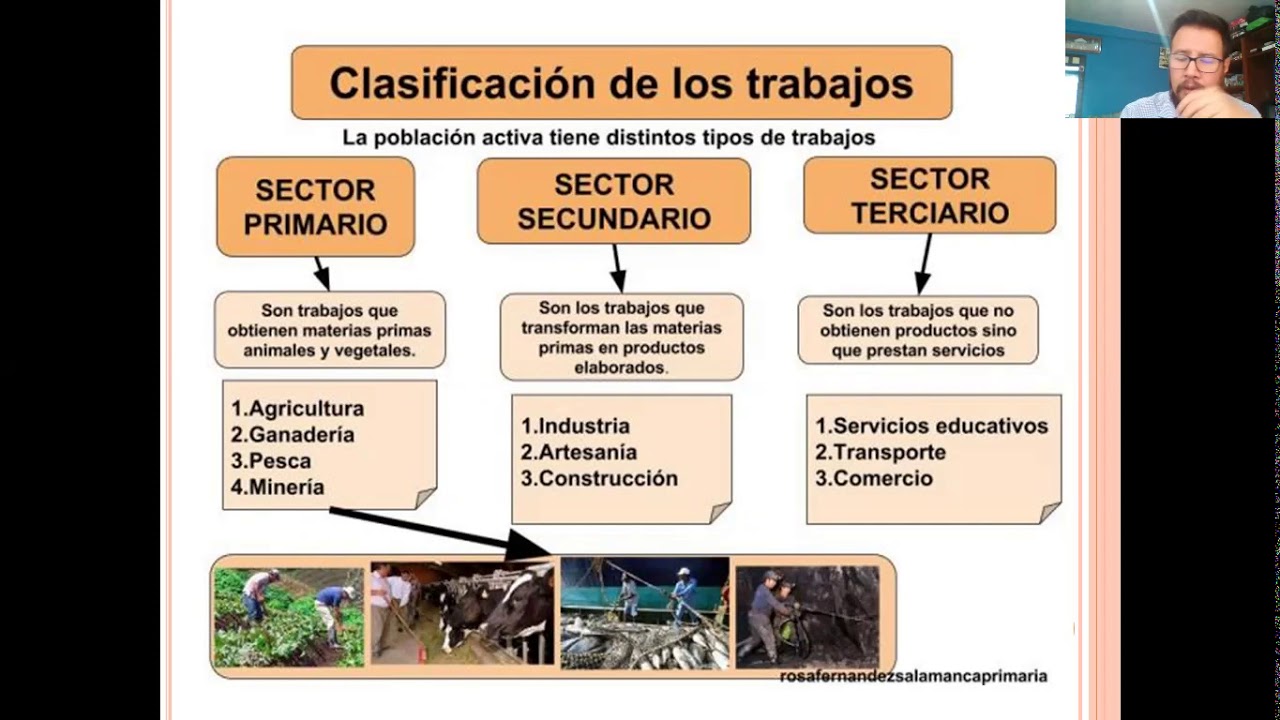 Sectores primario, secundario y terciario - YouTube