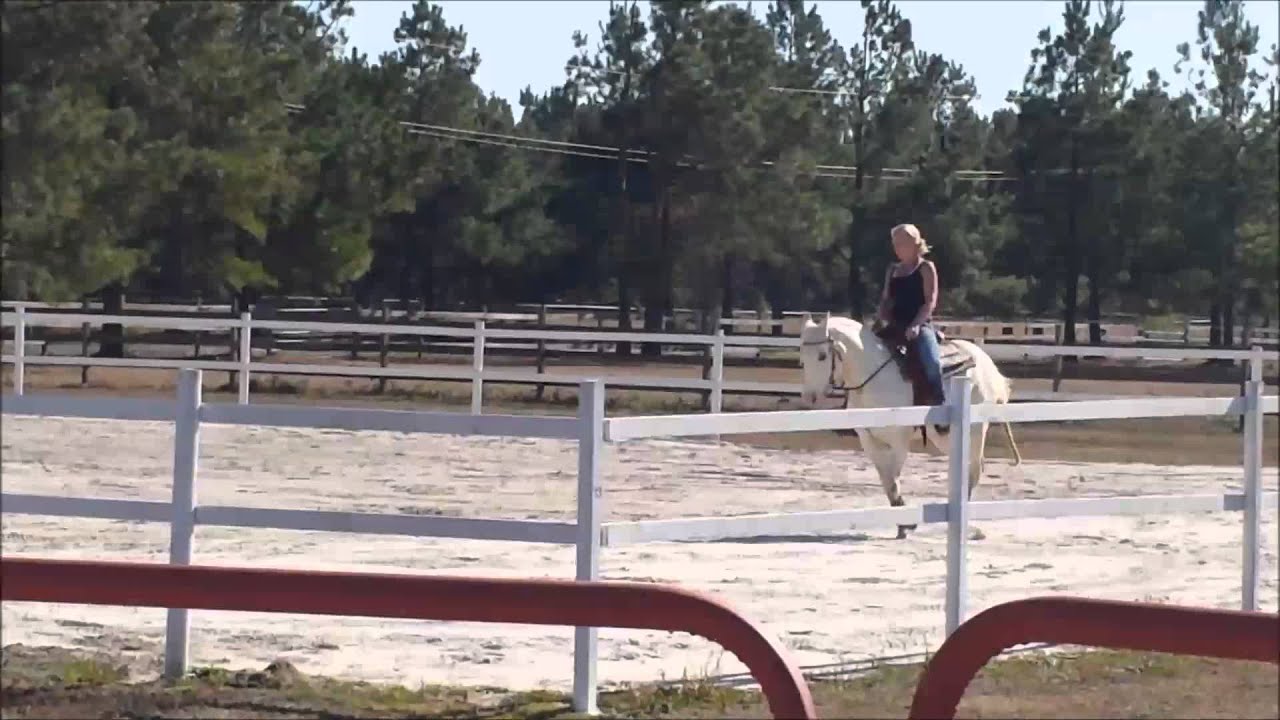 Rachel Joiner on Kazanha at Tilly Hawk Horse Complex, Holly Hill, SC ...
