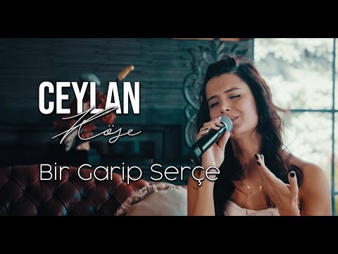 Ceylan Köse - Bir Garip Serçe Akustik(Kayahan Cover)