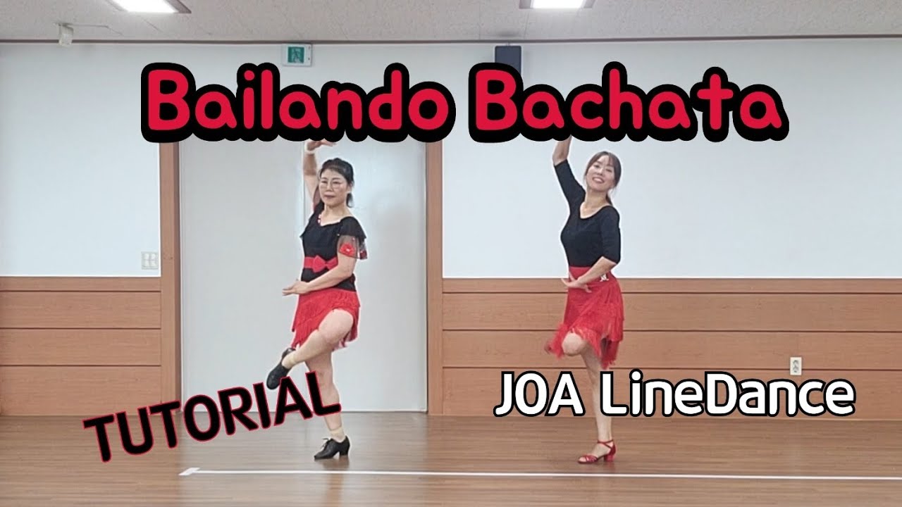 Bailando Bachata LineDance(Tutorial)(Beginner) #평택조아라인댄스설명 - YouTube