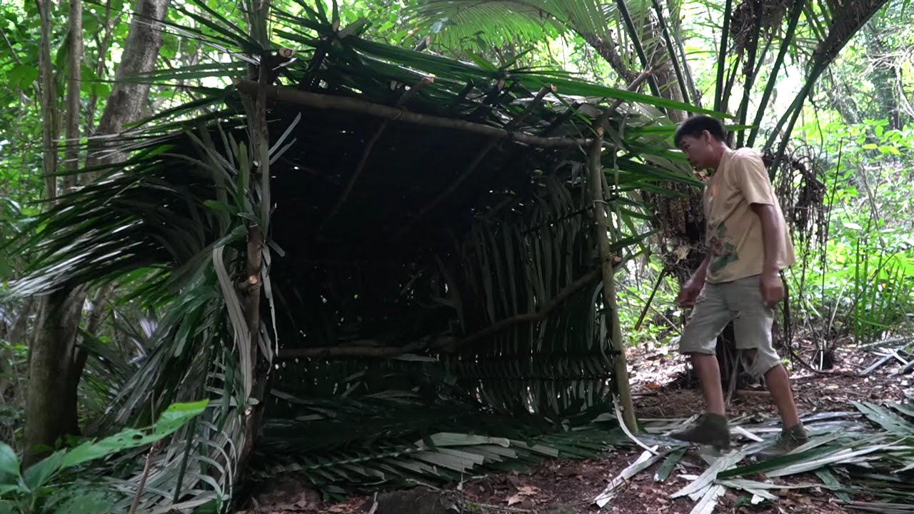 Single Father: Fear of Losing a Child, Father & Son Go to the Forest to ...