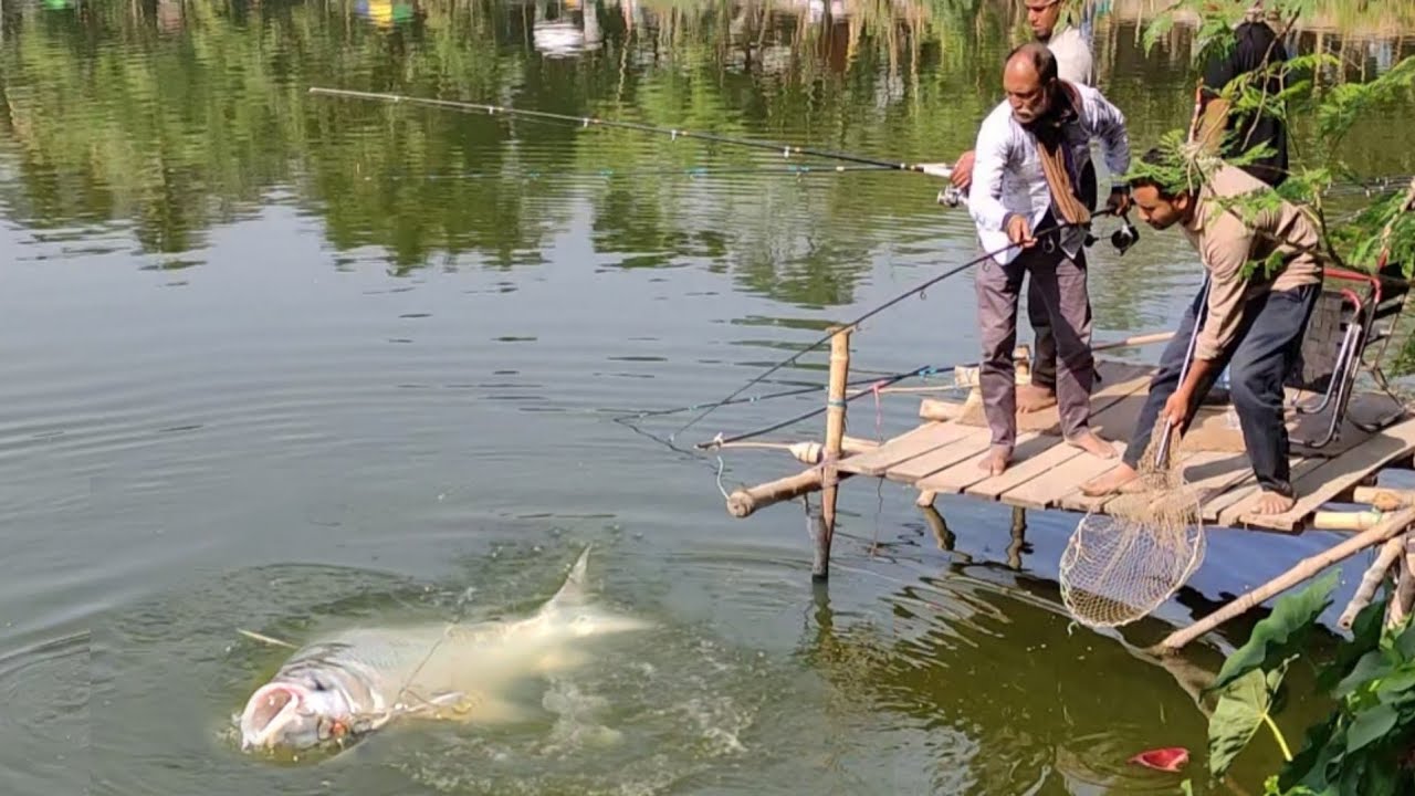 big Fish hunting in village | Fishing video 🐟 | village Fishing 🐟🐋 ...