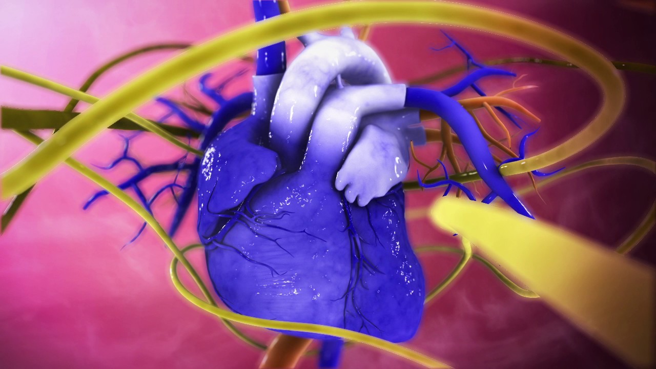 Abstract Unrealistic 3D Animation of a Heart Beating - YouTube
