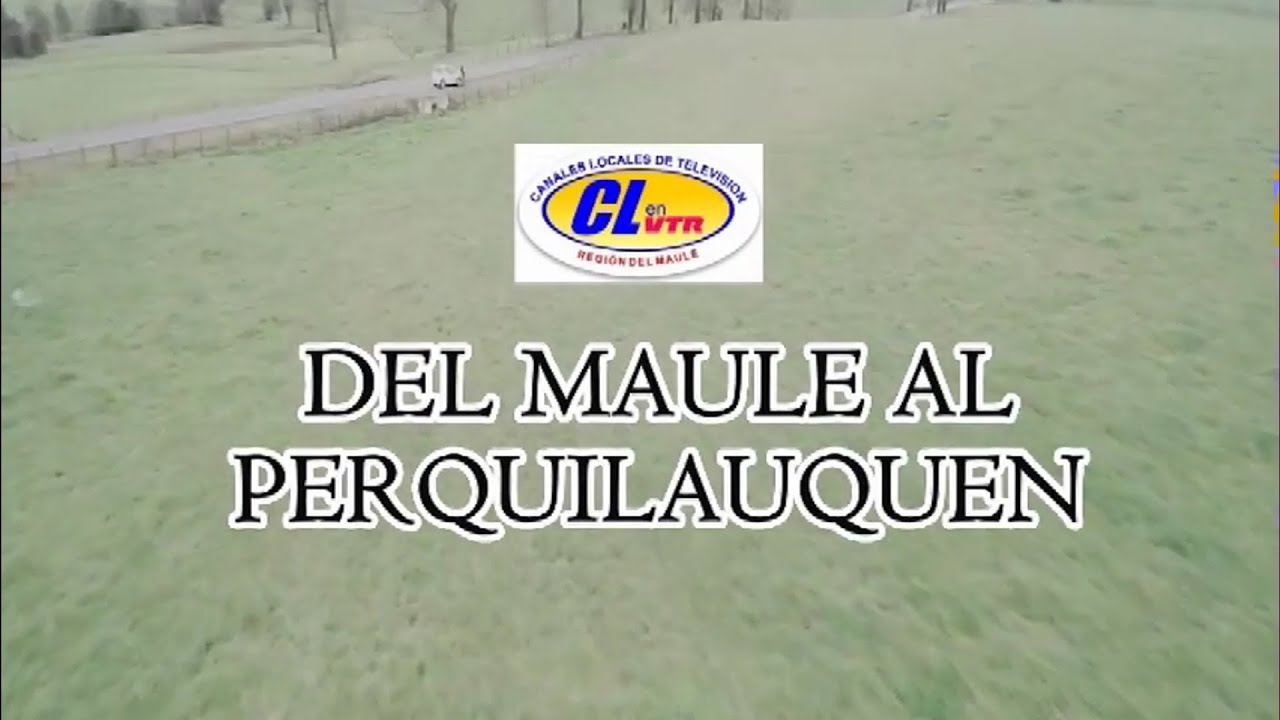 PROGRAMA 47 "FERNANDO CANCINO ALEGRIA" - YouTube