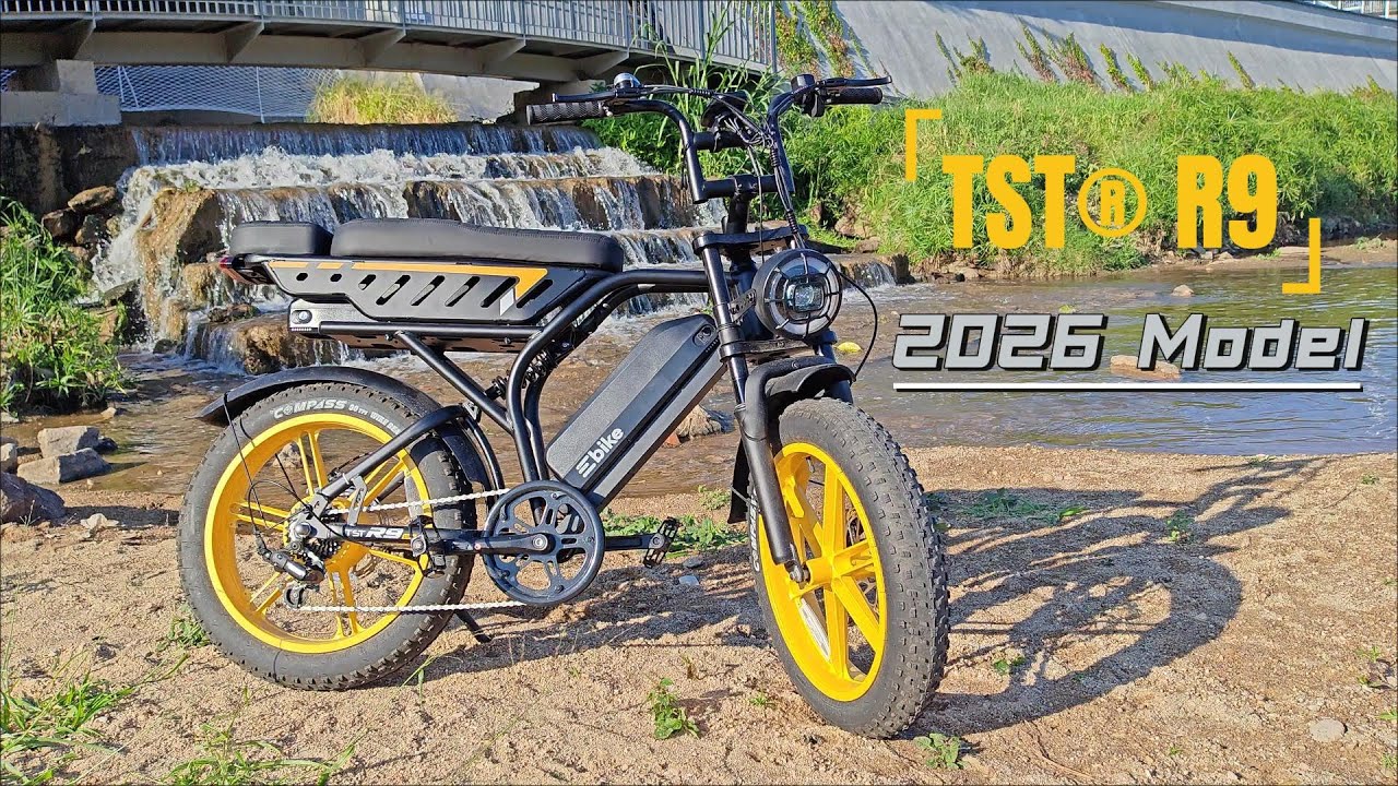 TST® R9 Dual-Battery Full-Suspension Moped Style Electric Bike#moped ...