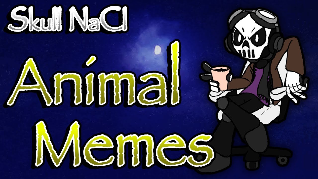 Skull NaCl Meme Reviews: Animal Memes - YouTube