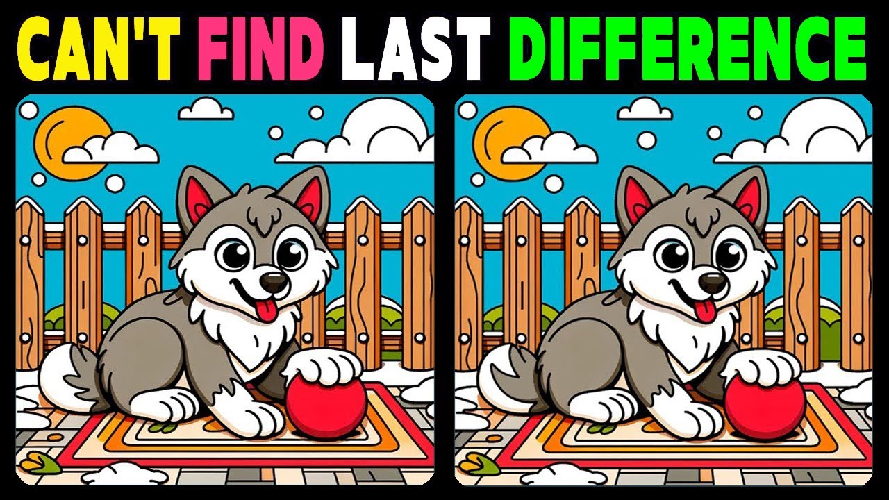 Spot the Difference: Can You Find Differences In 90 Seconds? 【Find the ...