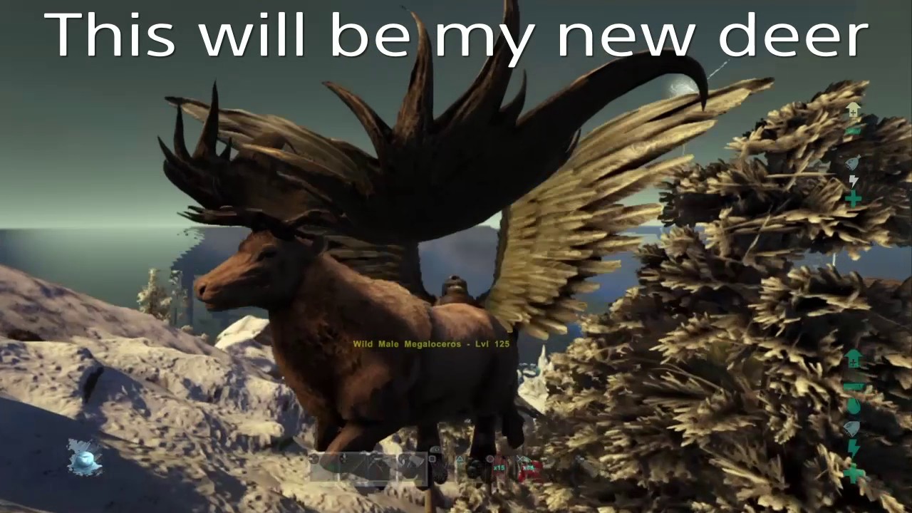 OFFICIAL PvP ARK Survival Evolved PS4 Making Friends & Leveling Up My ...