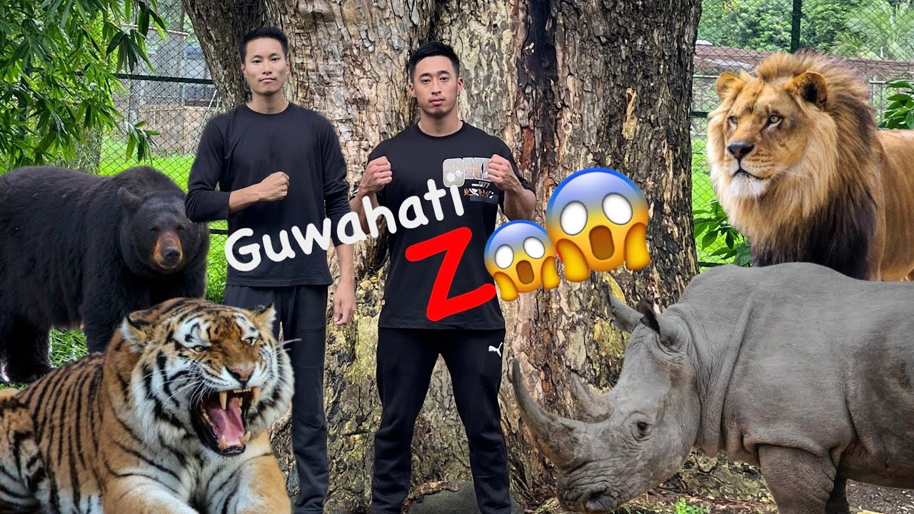 FIRST TIME VISITING THE ZOO 😱 - YouTube