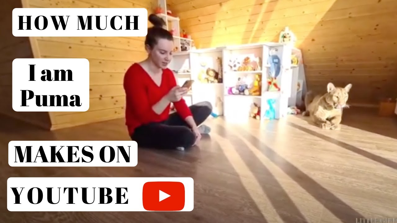 How much I am puma makes on Youtube - YouTube