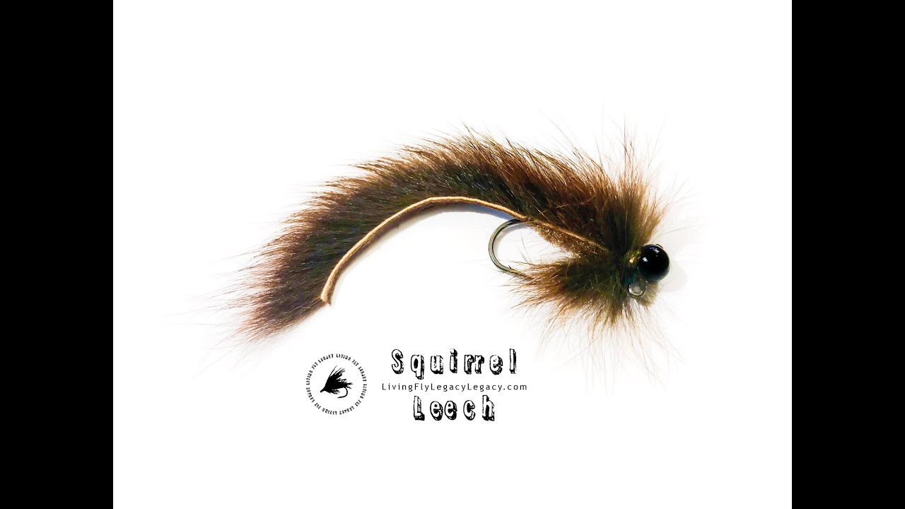 Squirrel Leech Streamer Tutorial - YouTube
