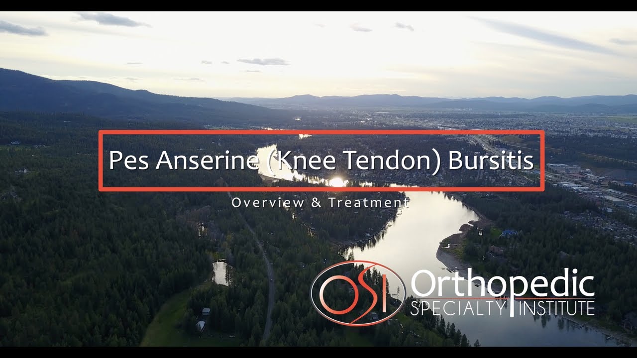 Pes Anserine (Knee Tendon) Bursitis - YouTube