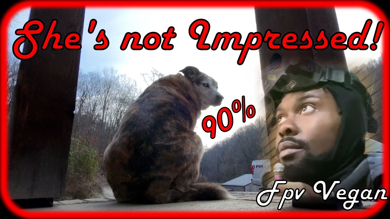 She's not Impressed / RED BIRD & FPV Vegan - YouTube