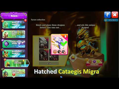 Hatched 2nd Cataegis Migra dragon | Virtus Rex June 2026 event | 2nd Apex Dragon Assault event | DML