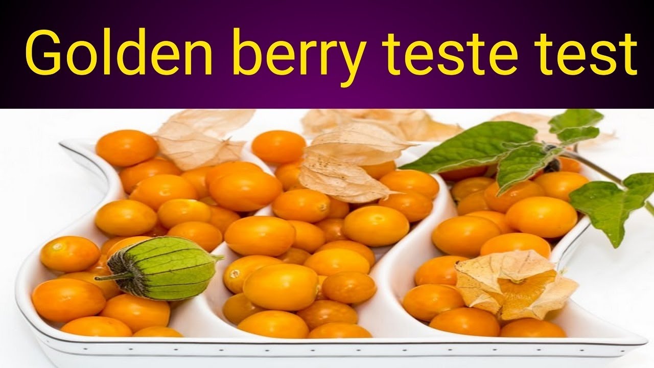 What does a Golden berry Taste like(Cape gooseberry) - YouTube