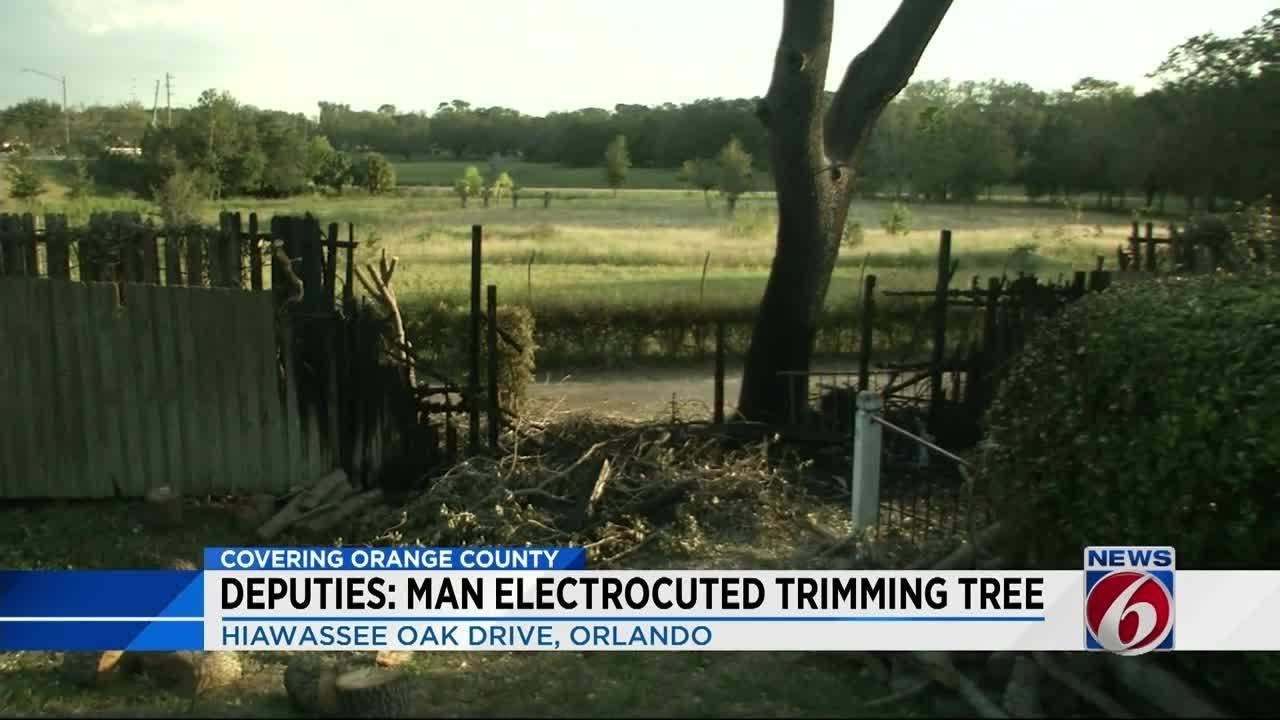Man electrocuted trimming tree in Orlando, deputies say - YouTube