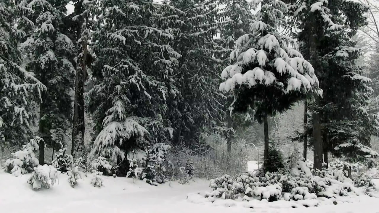 [10 Hours] Snowfall in the Backyard - Video & Audio [1080HD] SlowTV ...