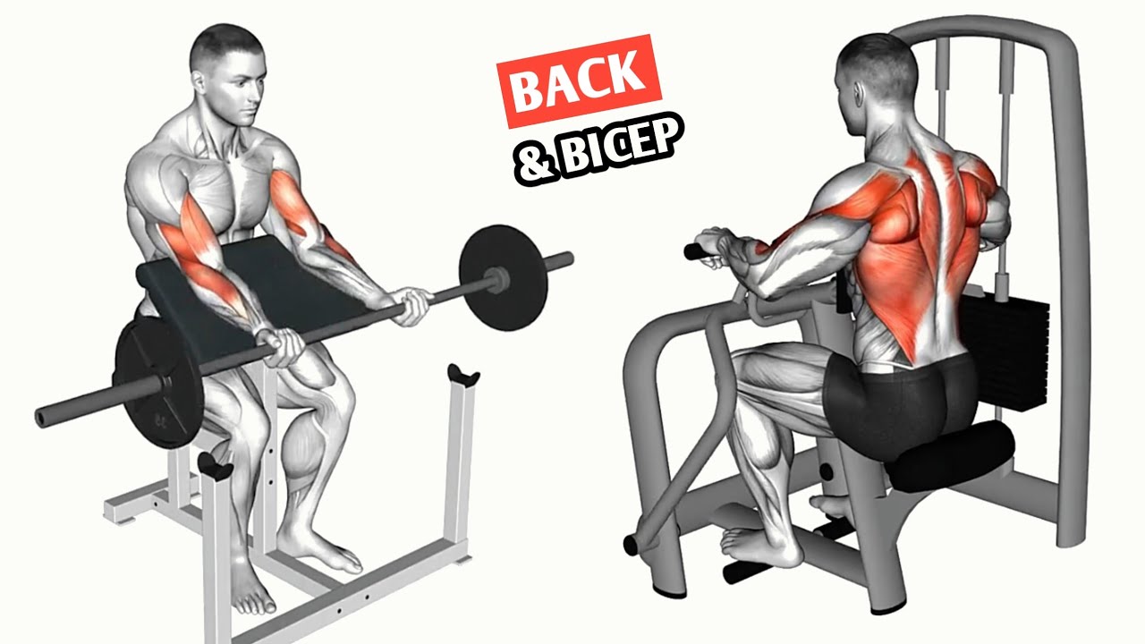 6 Effective Back And Bicep Workout At Gym | Back Biceps Exercises - YouTube