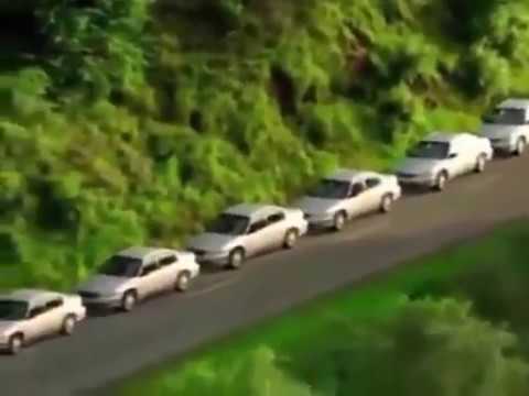 traffic honk car scare