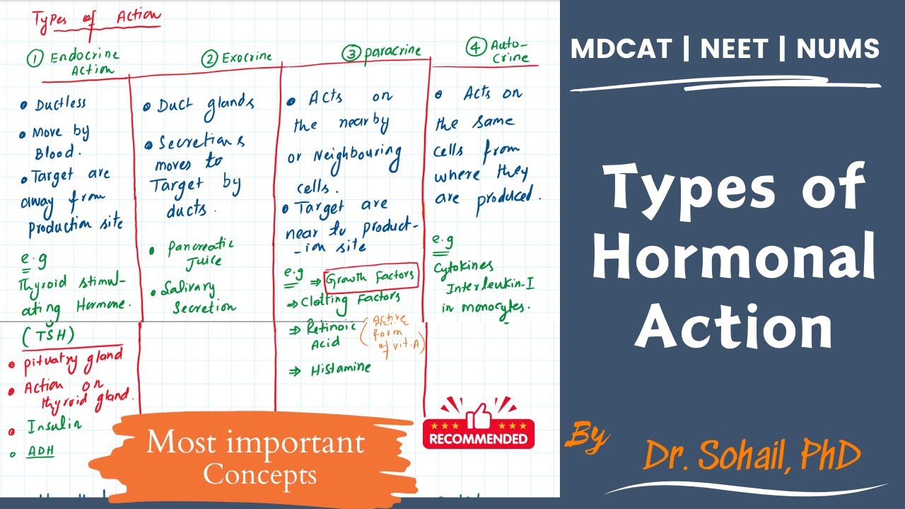 Types of Hormonal Action | MDCAT | NUMS | NEET - YouTube