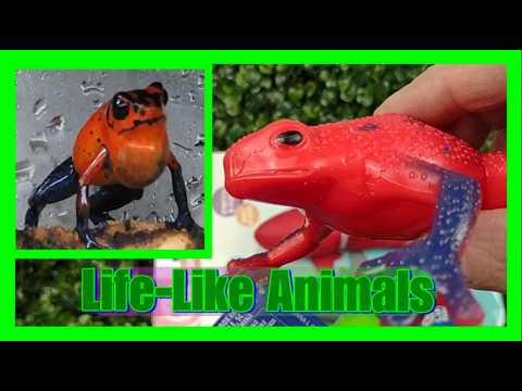 Realistic Life Like Squishy Toad Toy Toymendous Strawberry Poison Frog ...