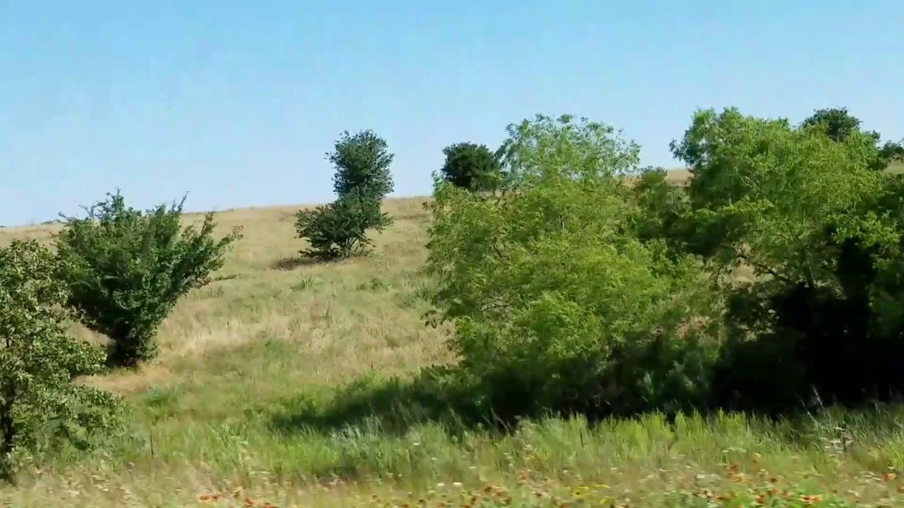Into the great wide open... deep in Texas - YouTube