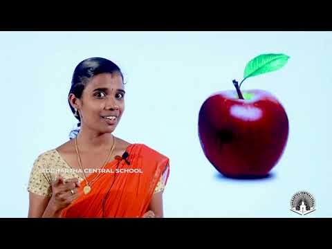 CLASS LKG TOPIC APPLE PART 3 - YouTube