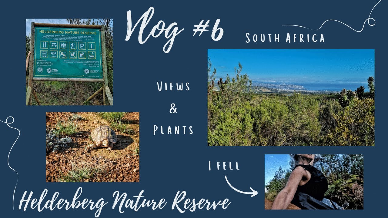 Vlog 6: Walk through HELDERBERG Nature Reserve | Views, plants, a ...