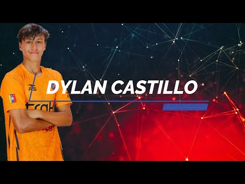 Dylan Castillo / 2008 / Defensa Central, Lateral, extremo / Liga Futve ...