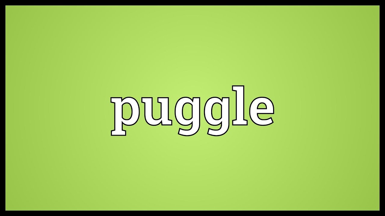 Puggle Meaning - YouTube