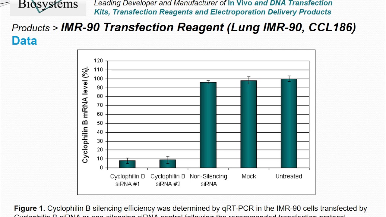Altogen Biosystems IMR-90 Transfection Reagent - YouTube