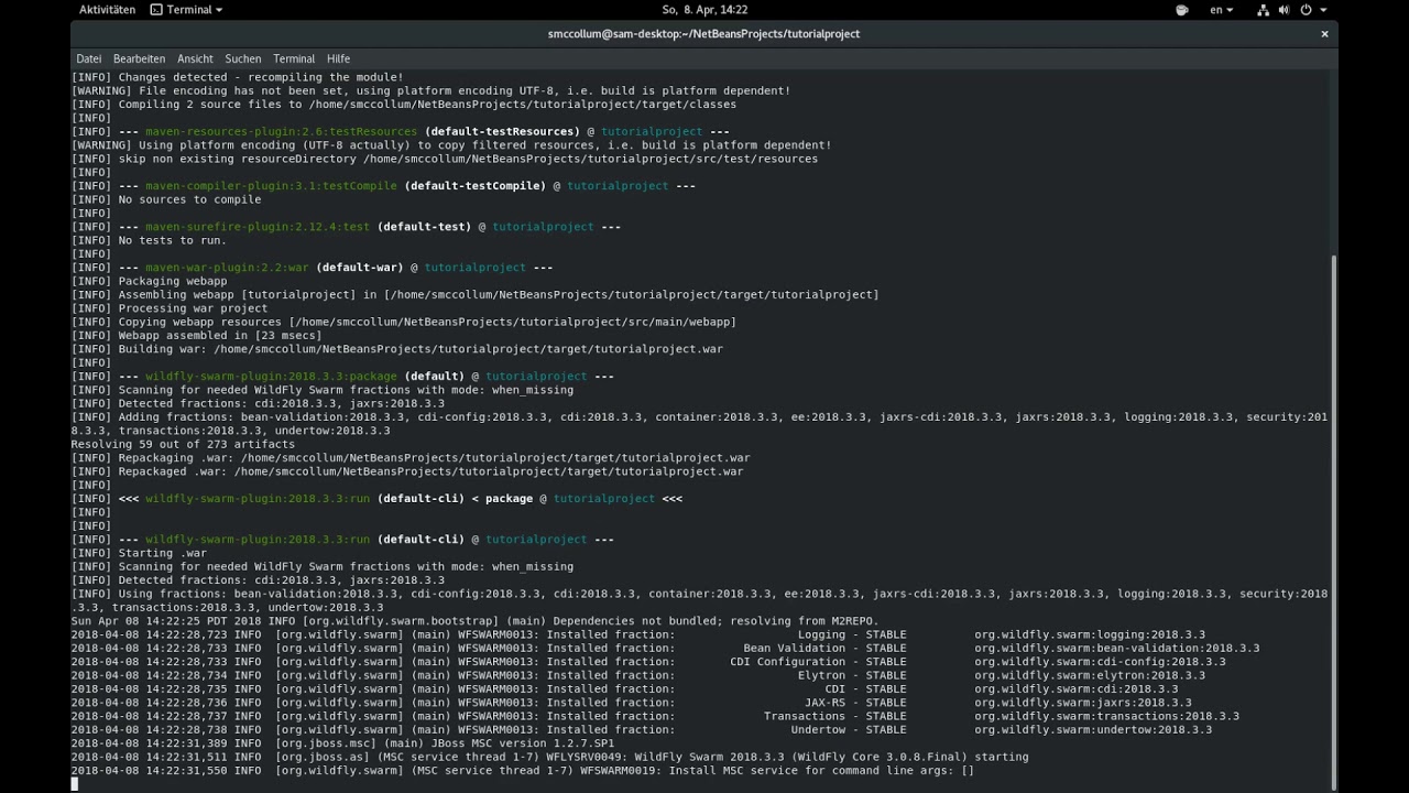 Javaee Jakartaee Tutorial 02 Run Your Project Youtube