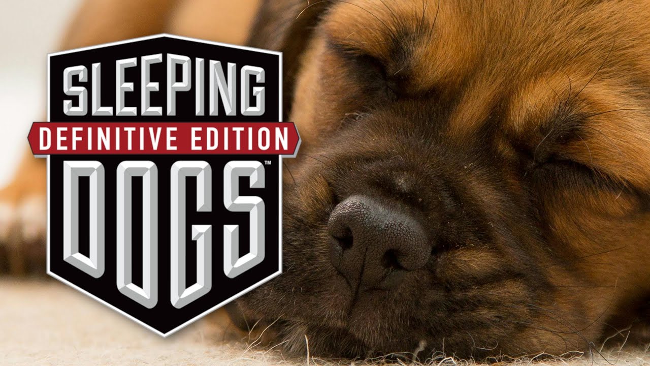 SHH...the dogs are sleeping. - YouTube