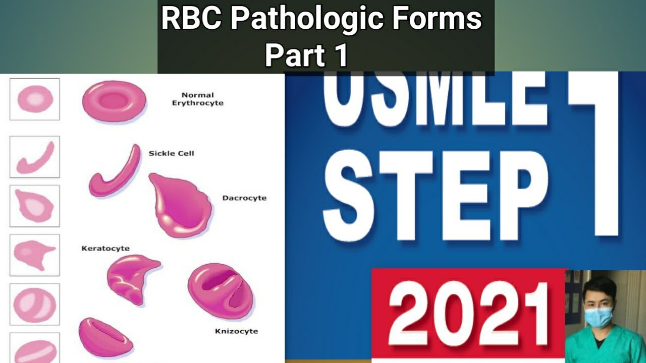 |Pathologic RBC Forms||USMLE Book| |Part-1| - YouTube