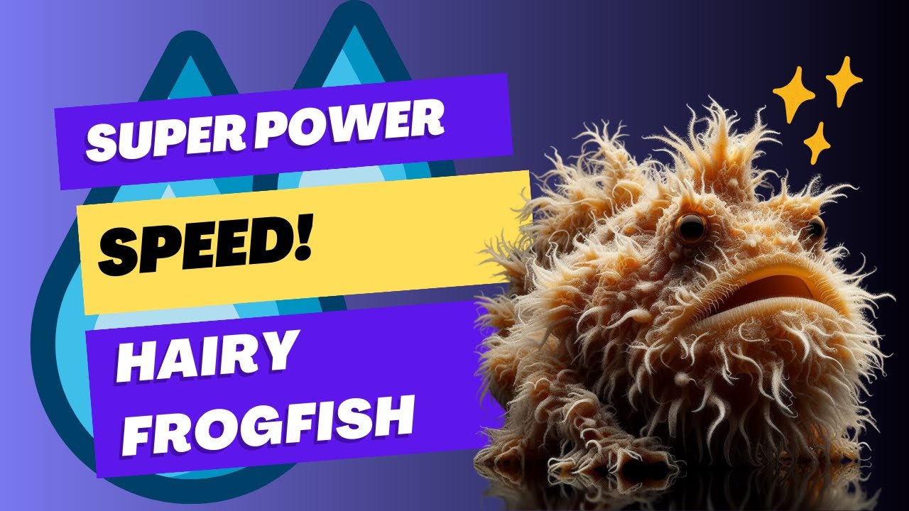 Facts: The Science of Real-Life Super Powers - SPEED! - YouTube