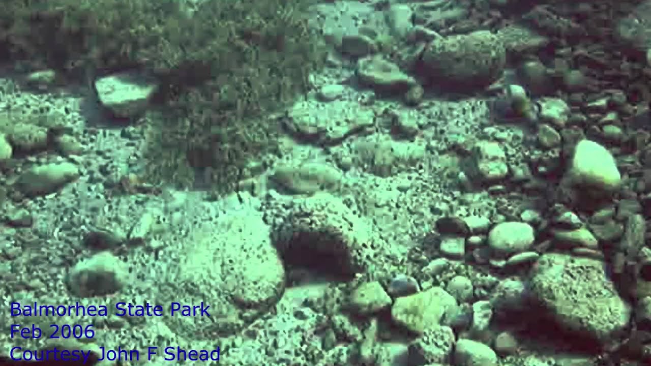 Balmorhea State Park Winter 2006 Dive In Part 2 - YouTube