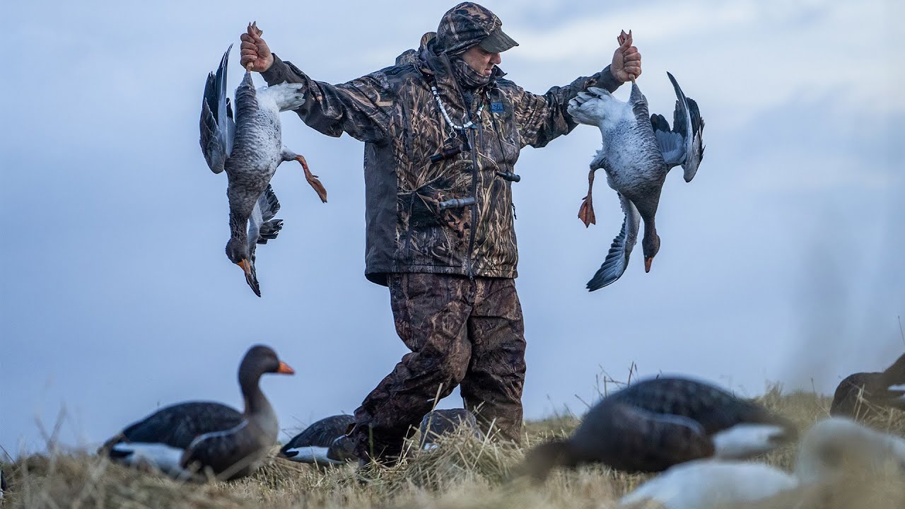 Viking Geese | S2E6 | The Last Pass by Final Approach (Víkinga Gæsir ...