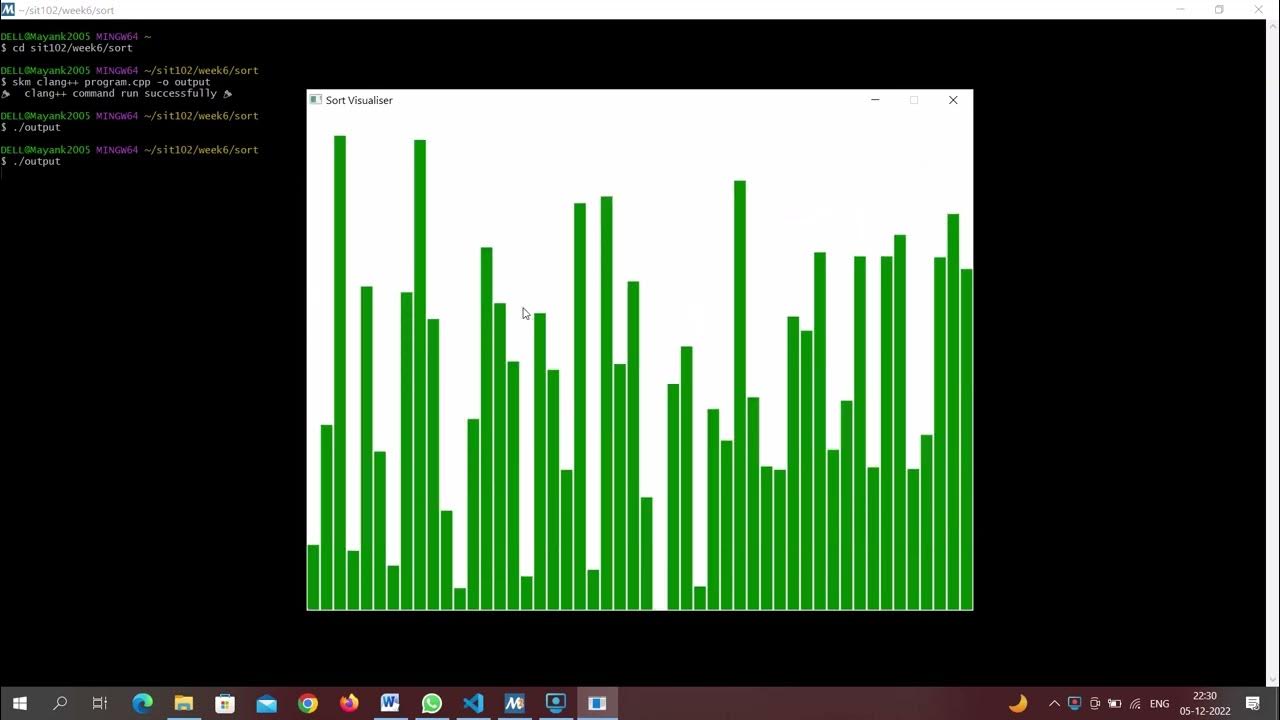 Sort Visualizer Task 6.4D - YouTube