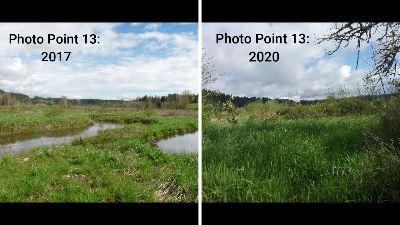 Photo Point Monitoring in the Lower Ohop Valley - May 2020 - YouTube