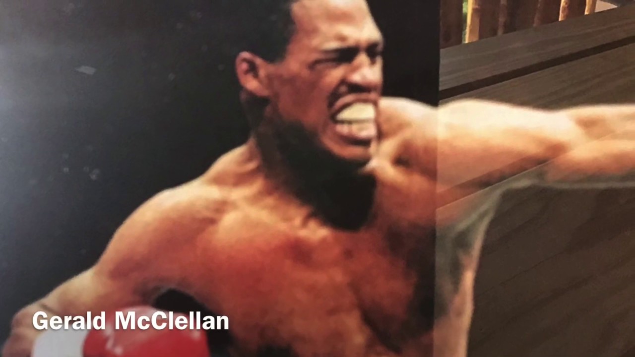 MMA, Boxing, Combat Sports - Is it Really Worth it? The Gerald ...