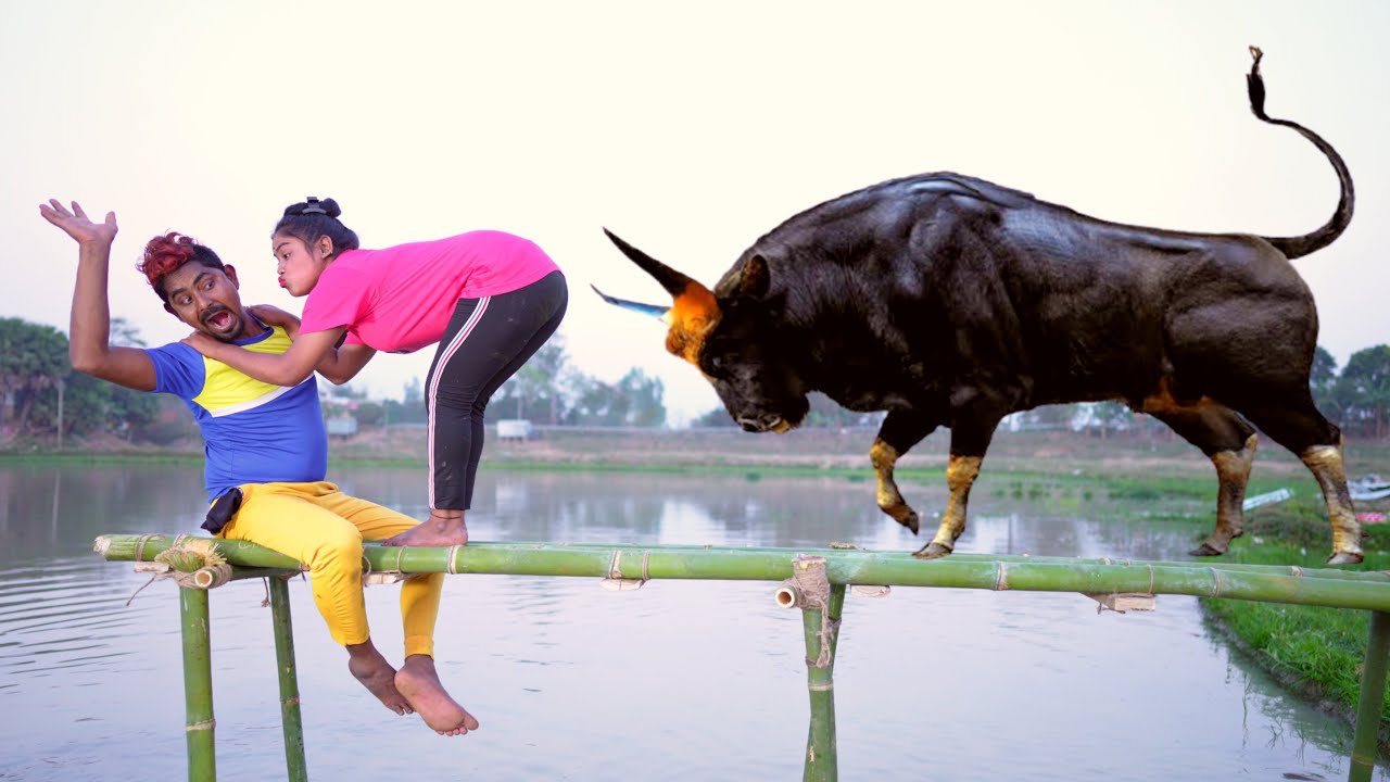 Must Watch New funny Video 2022,Amazing Funny Video 2022,Comedy video ...