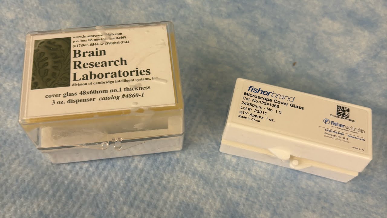 Coverslipping Histology Tissue Slides - YouTube