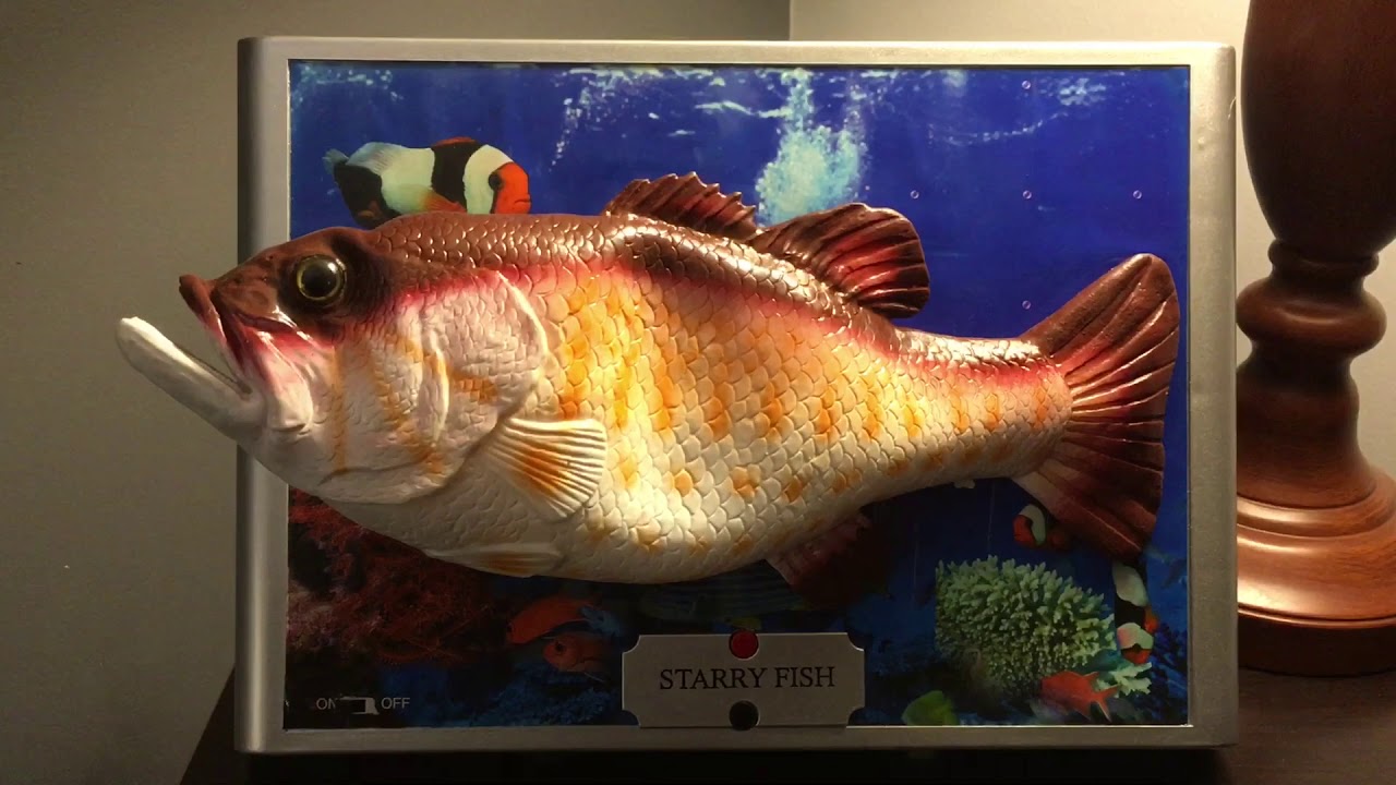 Starry fish (HD Audio) - YouTube