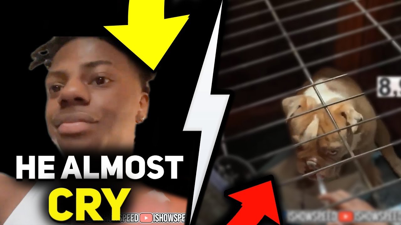 IShowSpeed Dog Have 20% Chances to Stay Alive 🥺 - YouTube