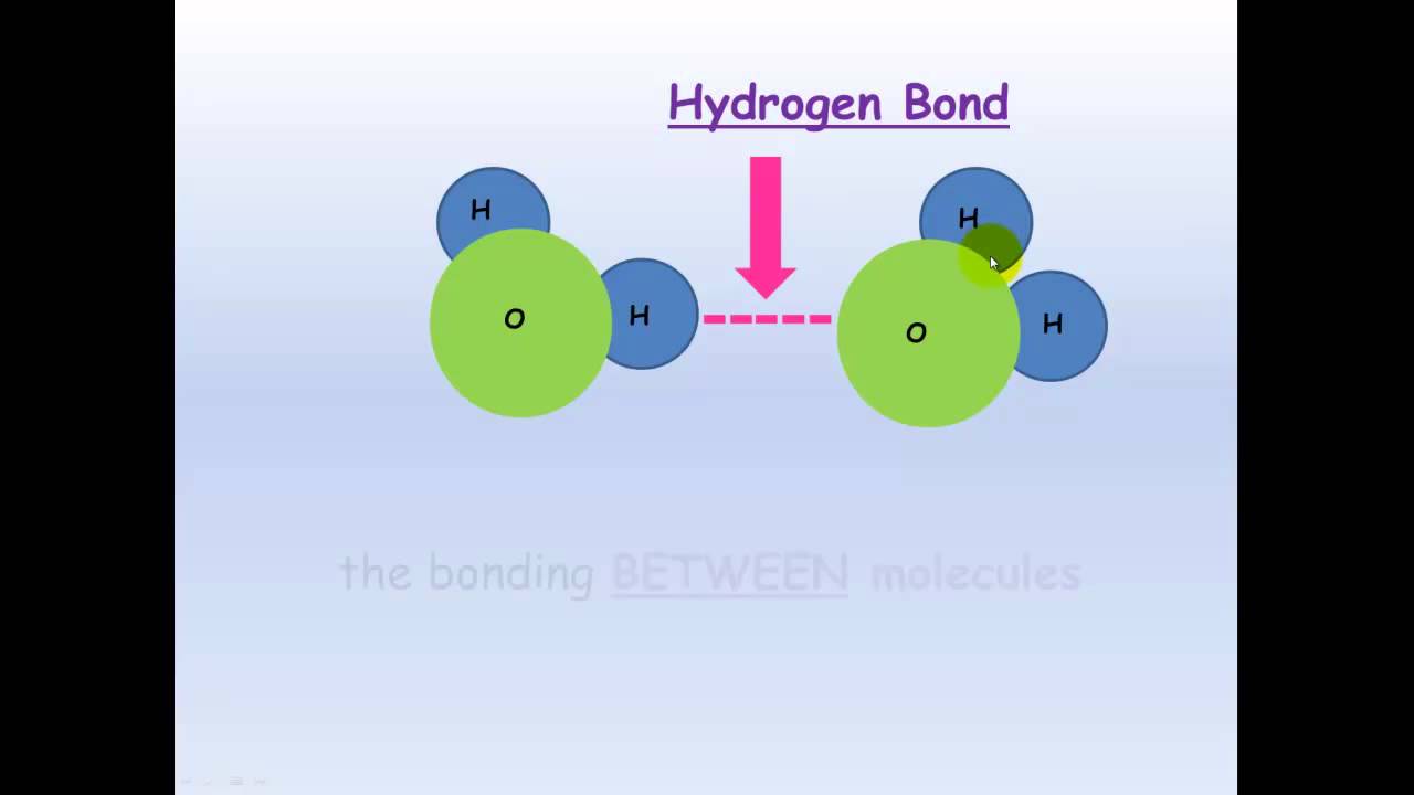 Intermolecular Bonding (2/3) - Hydrogen Bonding - YouTube