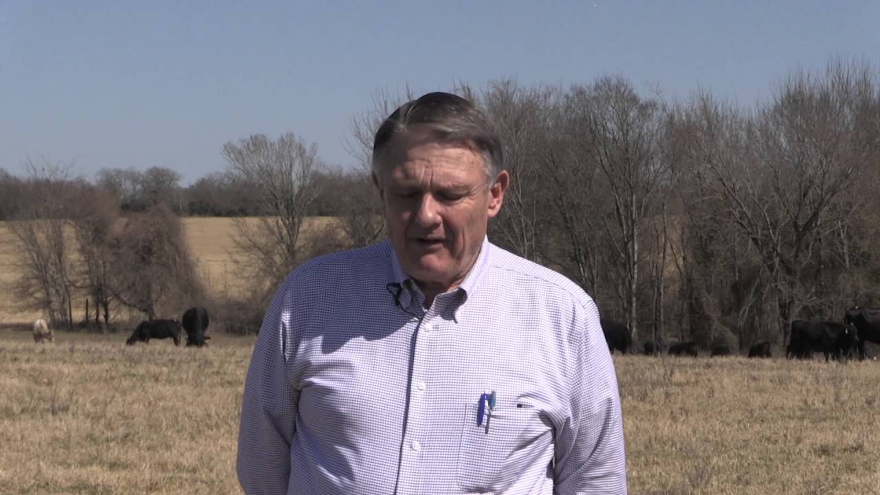 Hairgrove Part 1- Herd Health Programs - YouTube